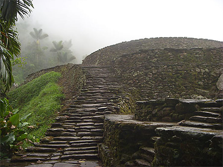 Ciudad Perdida : Sierra Nevada de Santa Marta : Côte caraïbe : Colombie ...