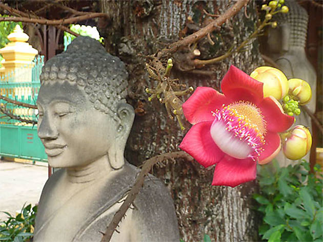 Bouddha fleuri : Bouddha : Fleurs : Palais royal : Phnom Penh : Phnom ...