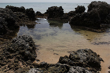 Marée basse à Ngaparou : Plages : Mer : N'Gaparou : Petite Côte ...