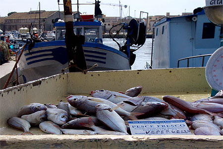 Agonie : Bateaux : Transport : Poissons : Favignana : Îles Egadi ...