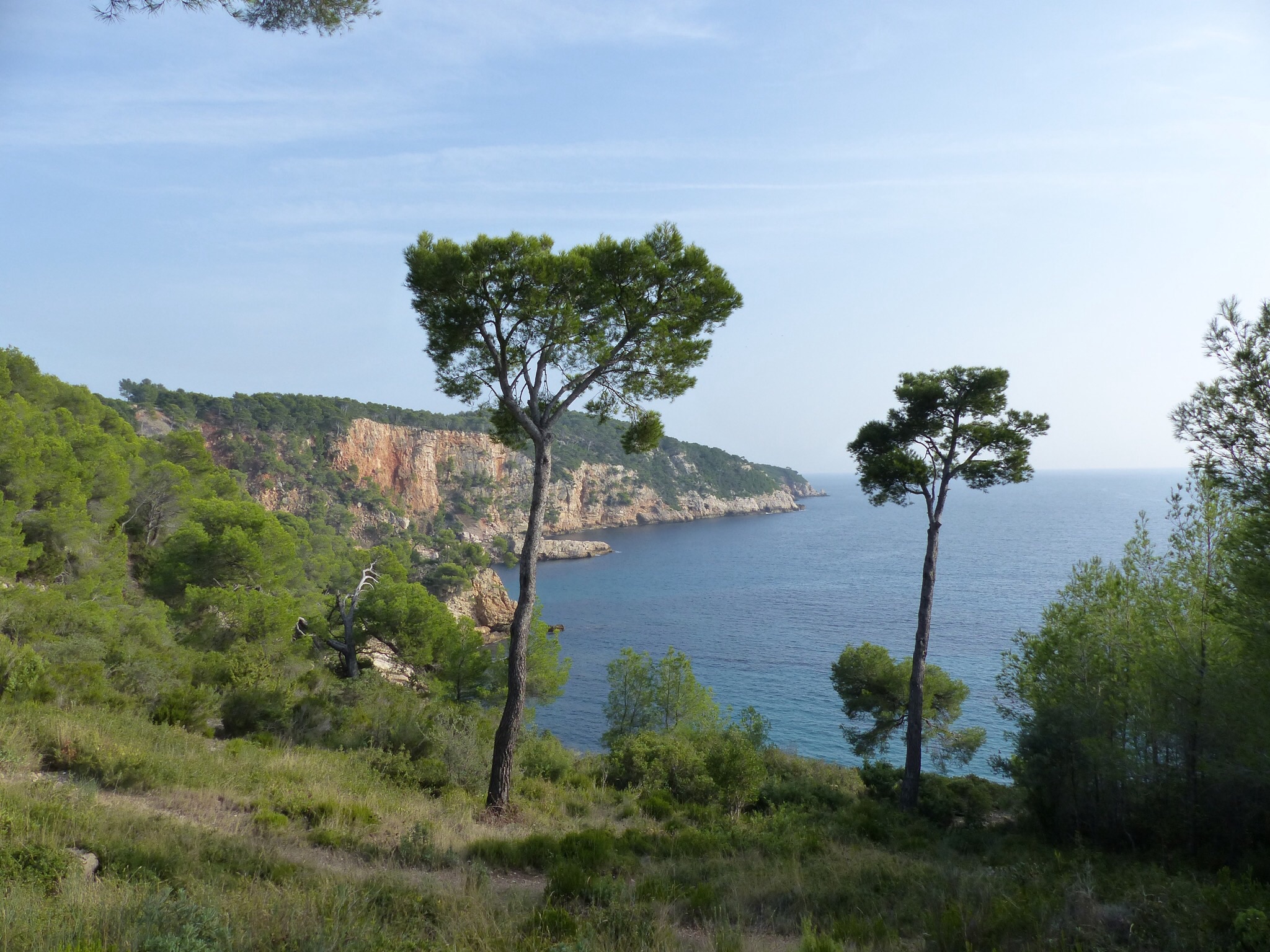 Vue mer, à Saint-Cyr-sur-Mer : Mer : Falaise : Saint-Cyr-sur-Mer : Var ...