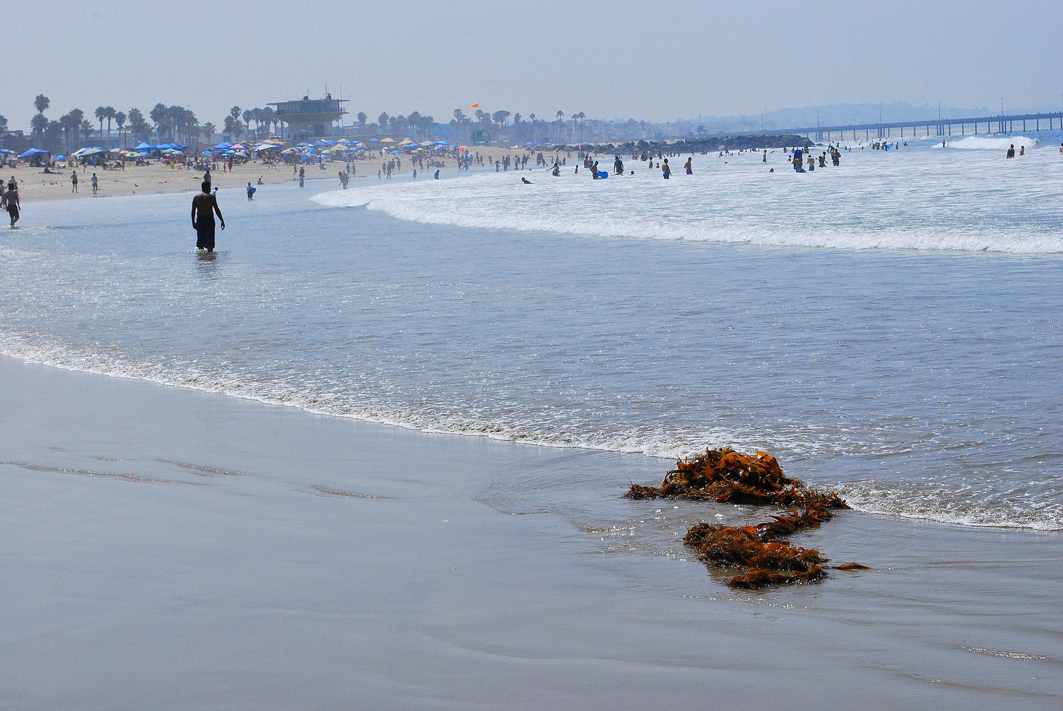 La plage de Venice Beach : Plages : Mer : Venice Beach : Santa Monica ...