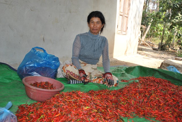 Triage des piments : Cambodge : Routard.com