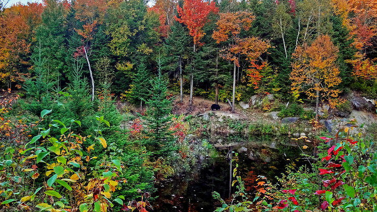 Lac de St Alexis des Monts : Lacs : Saint-Alexis-des-Monts : Mauricie ...