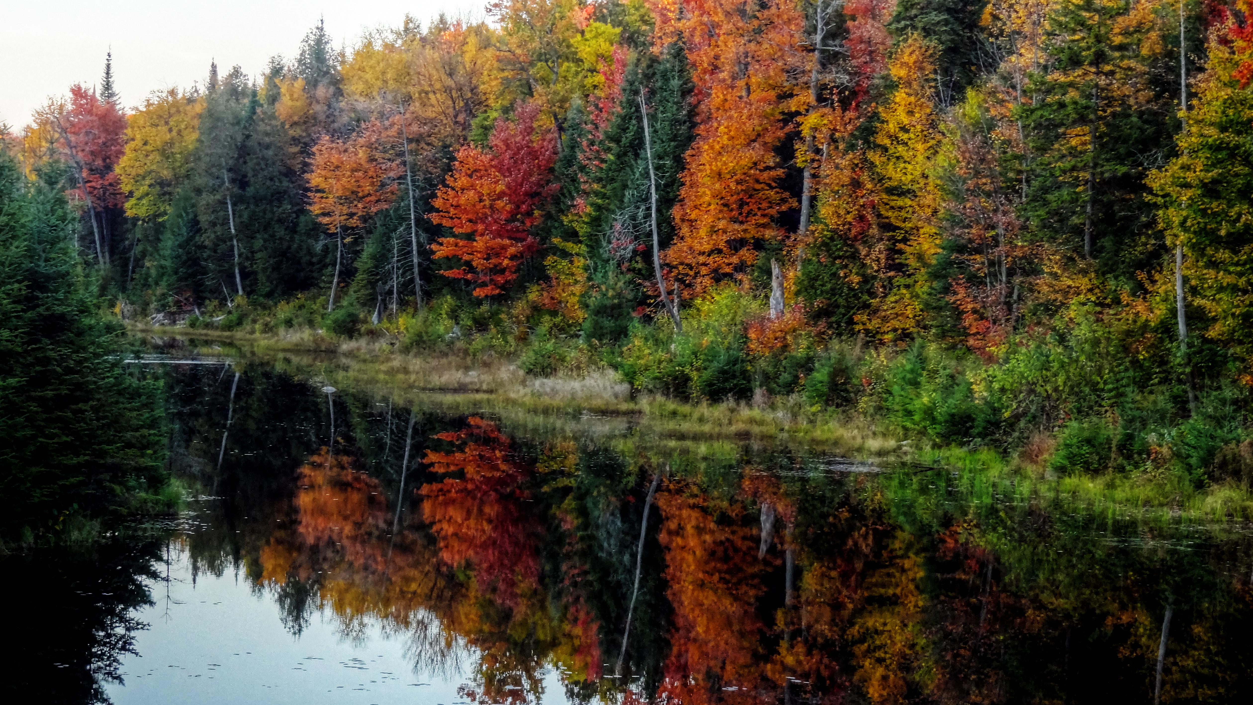Lac de St Alexis des Monts : Lacs : Arbres : Saint-Alexis-des-Monts ...