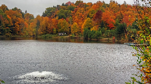 Lac de St Alexis des Monts : Lacs : Saint-Alexis-des-Monts : Mauricie ...