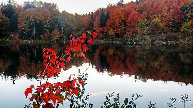 Lac de St Alexis des Monts : Lacs : Saint-Alexis-des-Monts : Mauricie ...