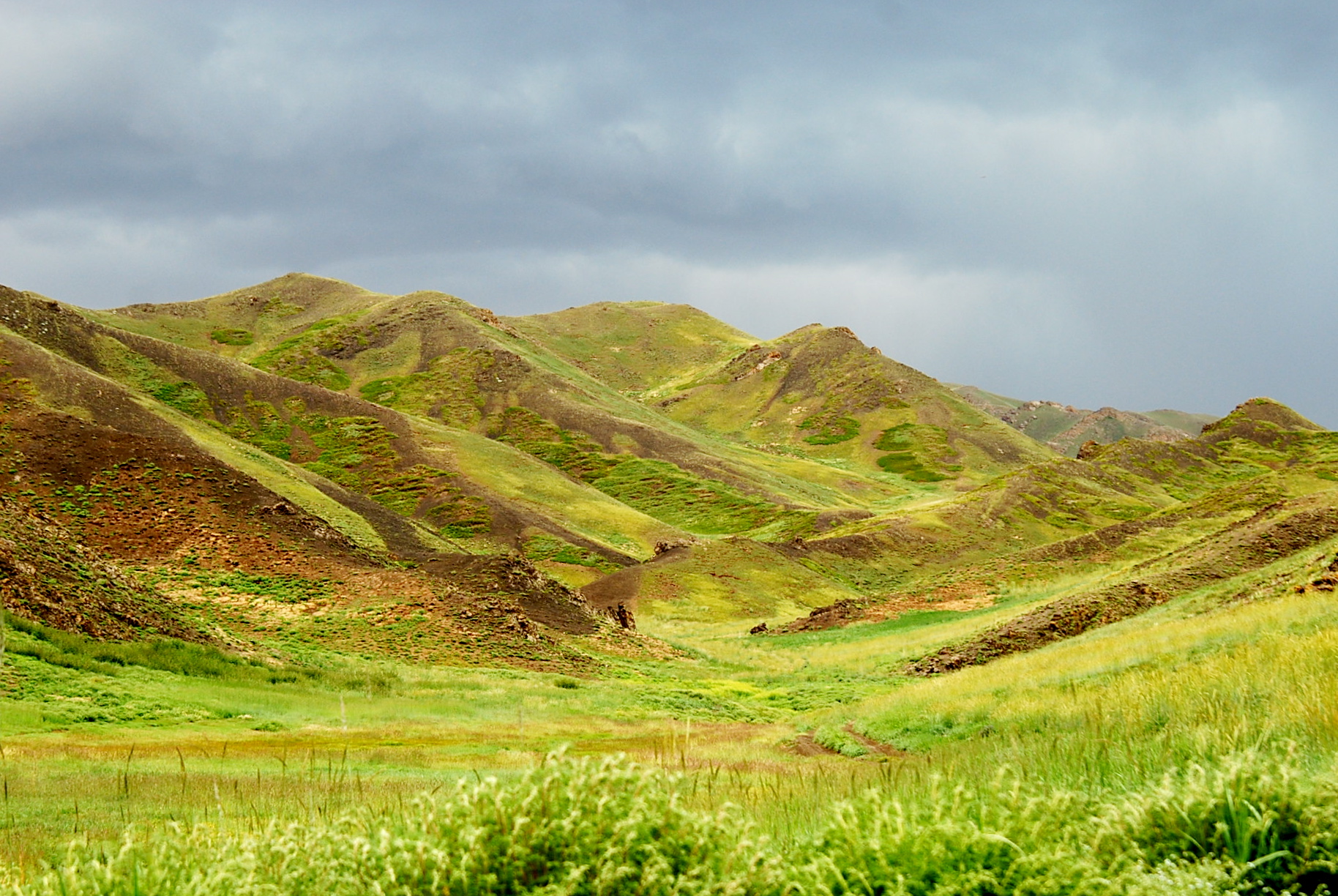 Verdoyante nature après la pluie : Yolyn Am : Parc national de Gobi ...