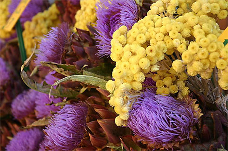 Marché de Nyons : Fleurs : Nyons : Drôme : Ardèche, Drôme : Routard.com