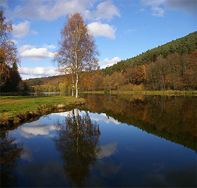 Etang de Lembach : Lacs : Lembach : Parc naturel régional des Vosges du ...