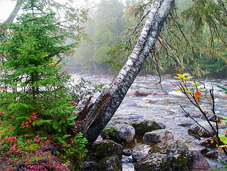 Mont St-Albert - Gaspésie : Gaspésie : Québec : Routard.com