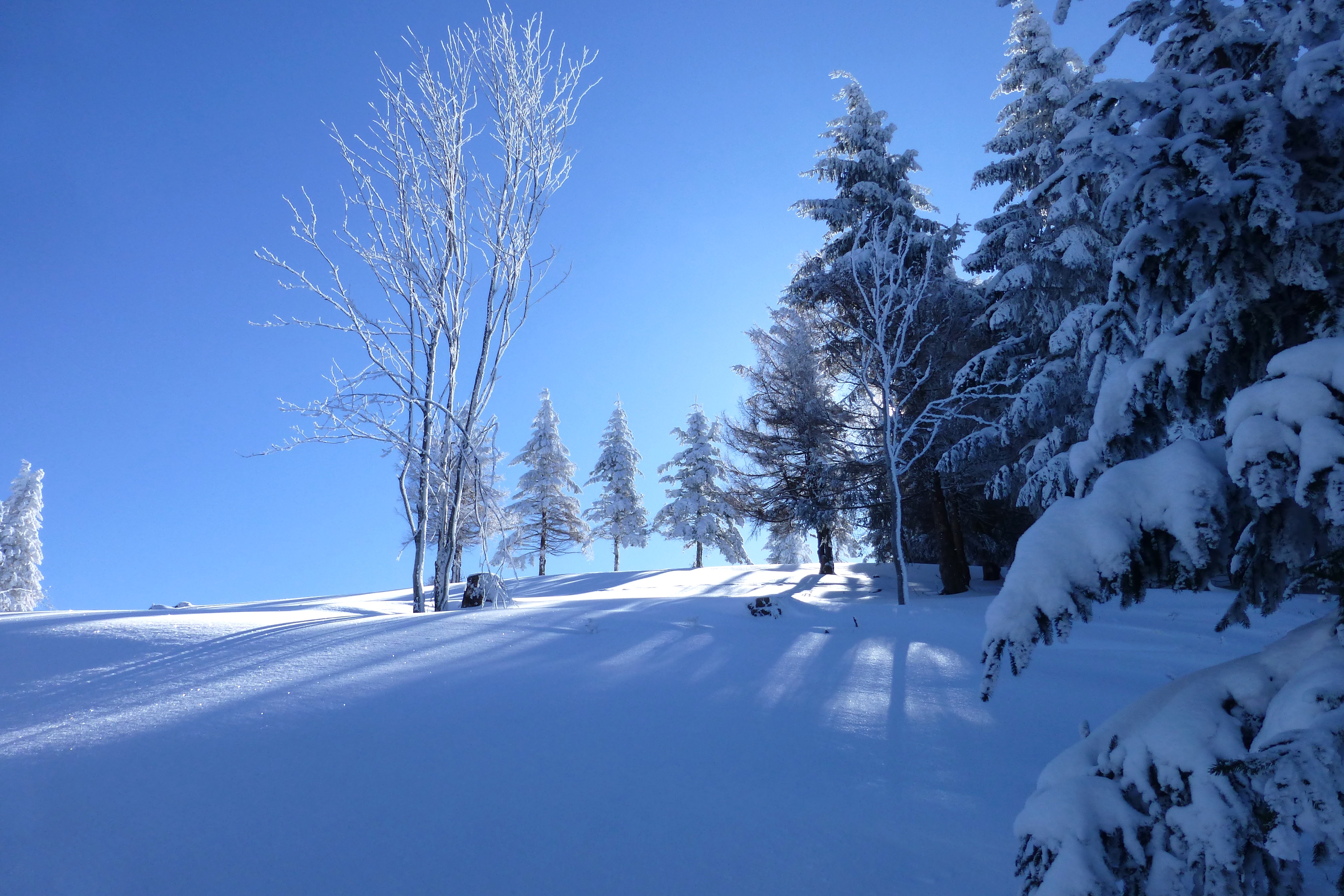 Paysage d'hiver au Markstein : Montagne : Montagne vosgienne : Haut ...