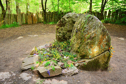 Bretagne : Brocéliande, forêt de légendes