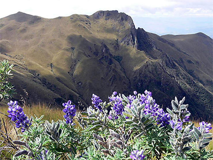 Visiter Cordillère des Andes : préparez votre séjour et voyage ...