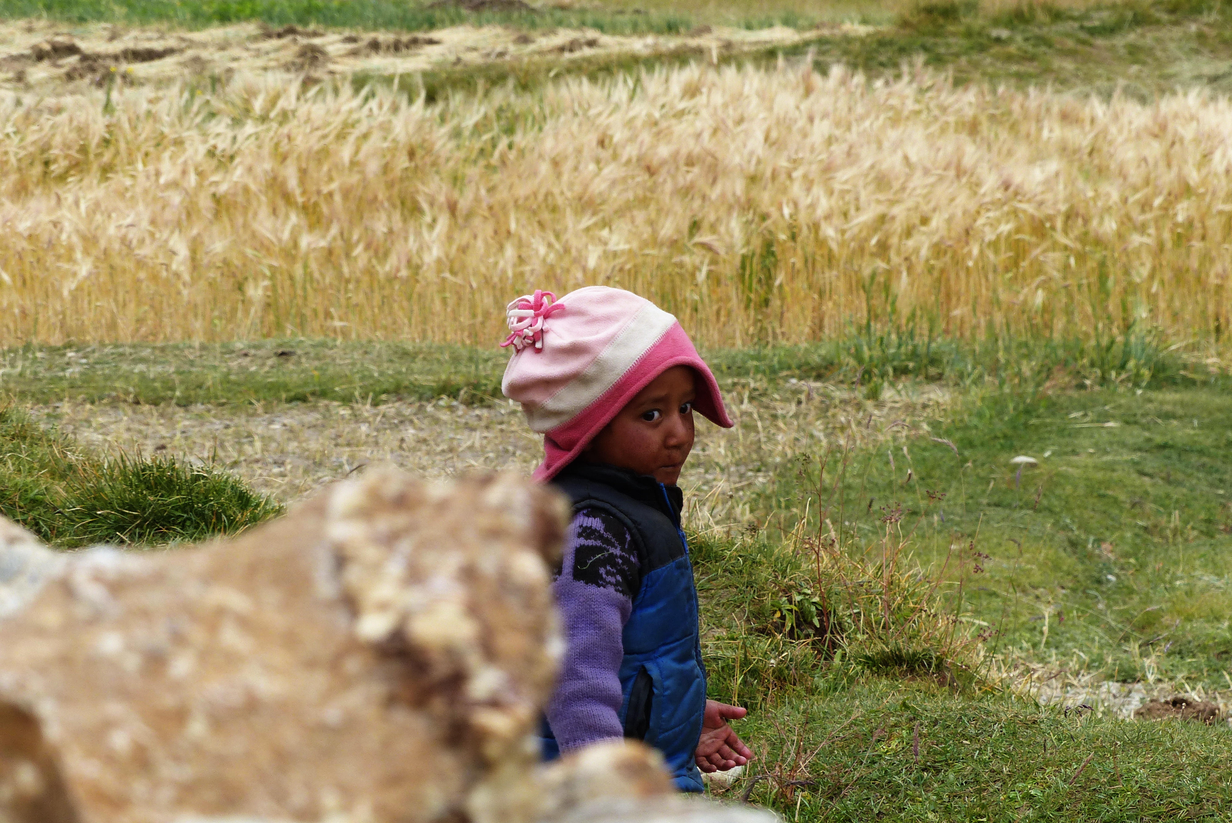 Surprise au Village de Sking : Enfants : Zanskar : Jammu-et-Cachemire ...