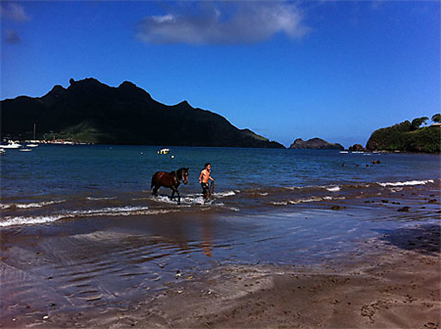 La baie de Taiohae : Plages : Mer : Taiohae : Nuku Hiva : Îles ...