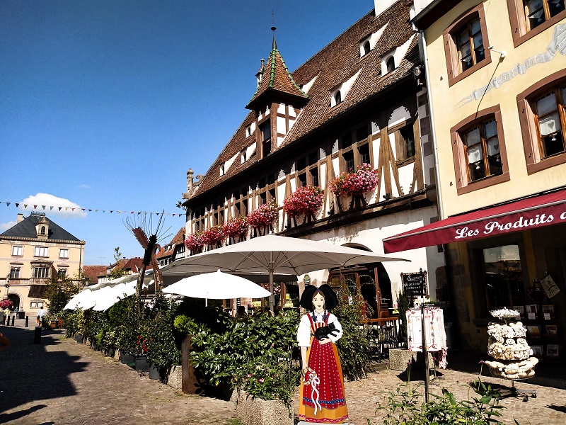 Obernai : Obernai : Route des Vins d'Alsace : Bas-Rhin : Alsace ...