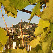 Contrada dell'Istrice : Sienne : Sienne et ses environs : Toscane ...