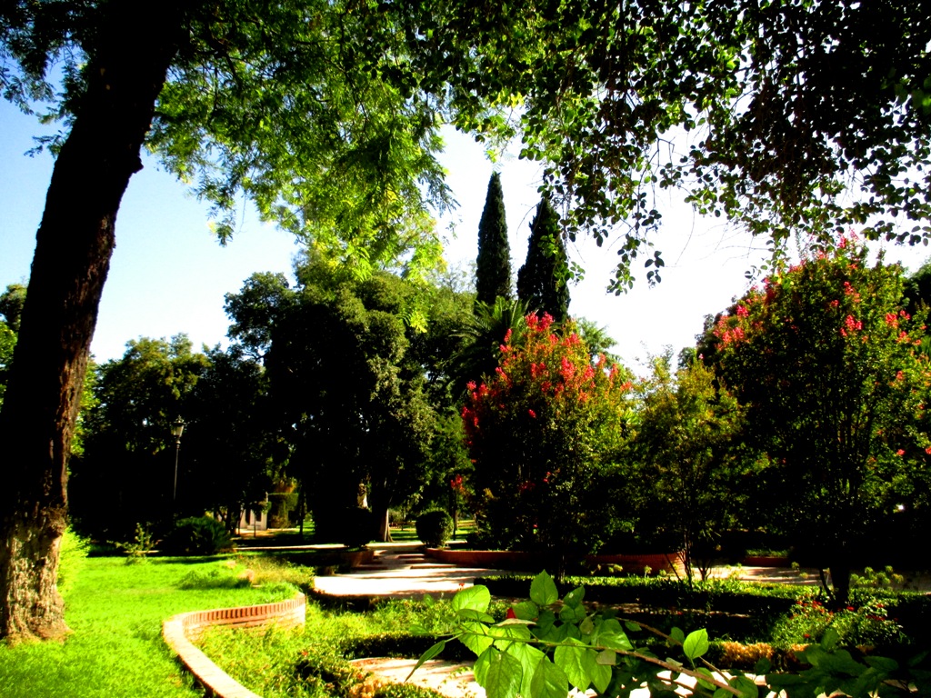 Agréable grand parc María Luisa : Arbres : Parque María Luisa : Séville ...