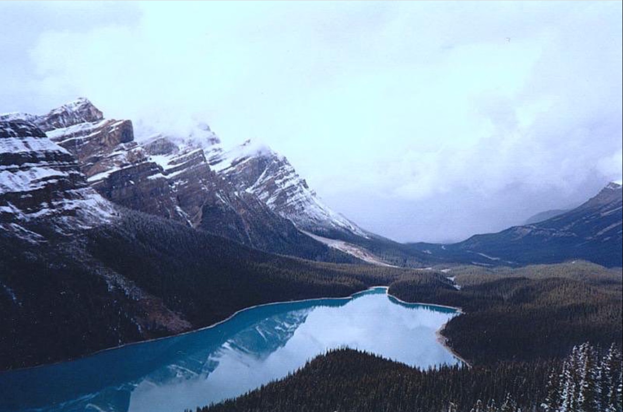 Lake Peyto : Montagne : Peyto Lake : Parc national de Banff : Alberta ...