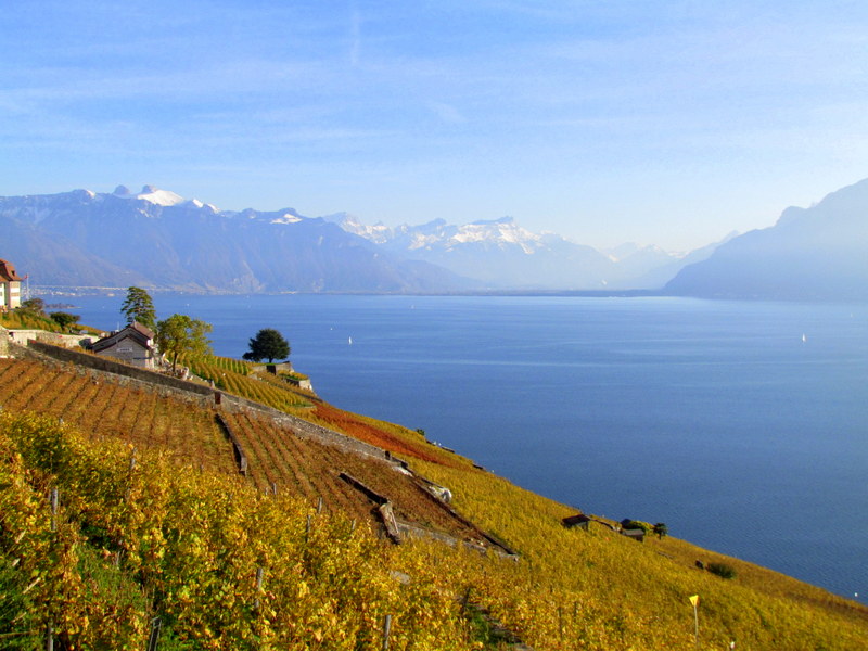 Le Lavaux et ses vignobles : Lacs : Chexbres : Canton de Vaud : Bassin ...
