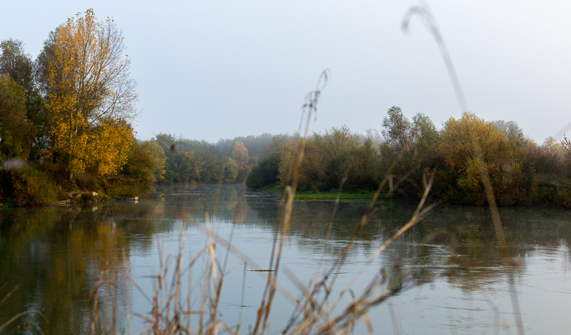 Au bord de la Marne, non loin de Châlons : Fleuve : Marne : Champagne ...
