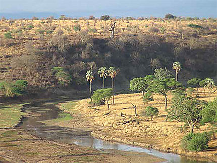 tarangire river : Parc national de Tarangire : Le Nord et les grands ...