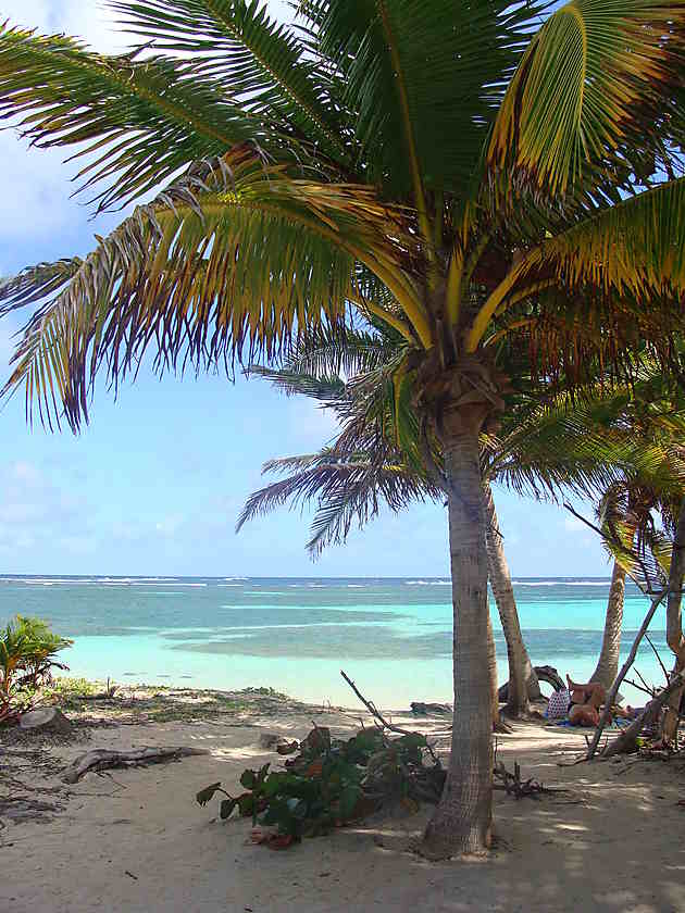 Sainte-Anne : Plages : Mer : Arbres : Sainte-Anne : Pointe Sud ...