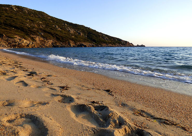 A petits pas Plage de Tizzano : Plages : Mer : Tizzano : Corse-du-Sud ...