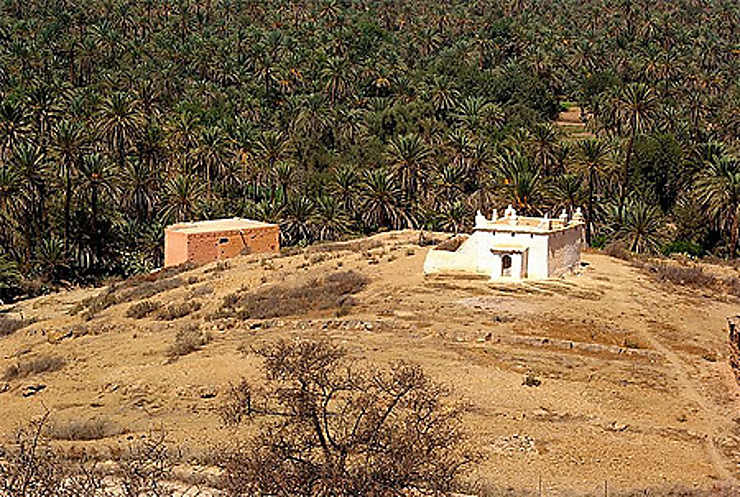 La palmeraie de Tioute : Palmeraie de Tioute : Anti-Atlas : Maroc ...