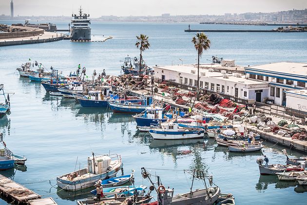 Alger - Le petit port : Bateaux : Transport : Alger : Côte algérienne ...