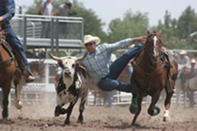 Cheyenne Frontier Days : rodéo dans le Wyoming
