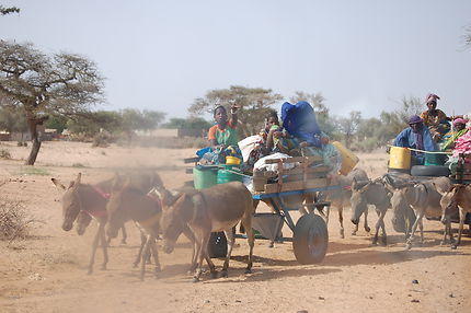 Charettes : Transport : Sénégal : Routard.com