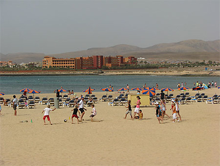 Caleta del Fuste : Plages : Mer : Caleta de Fuste : Fuerteventura ...