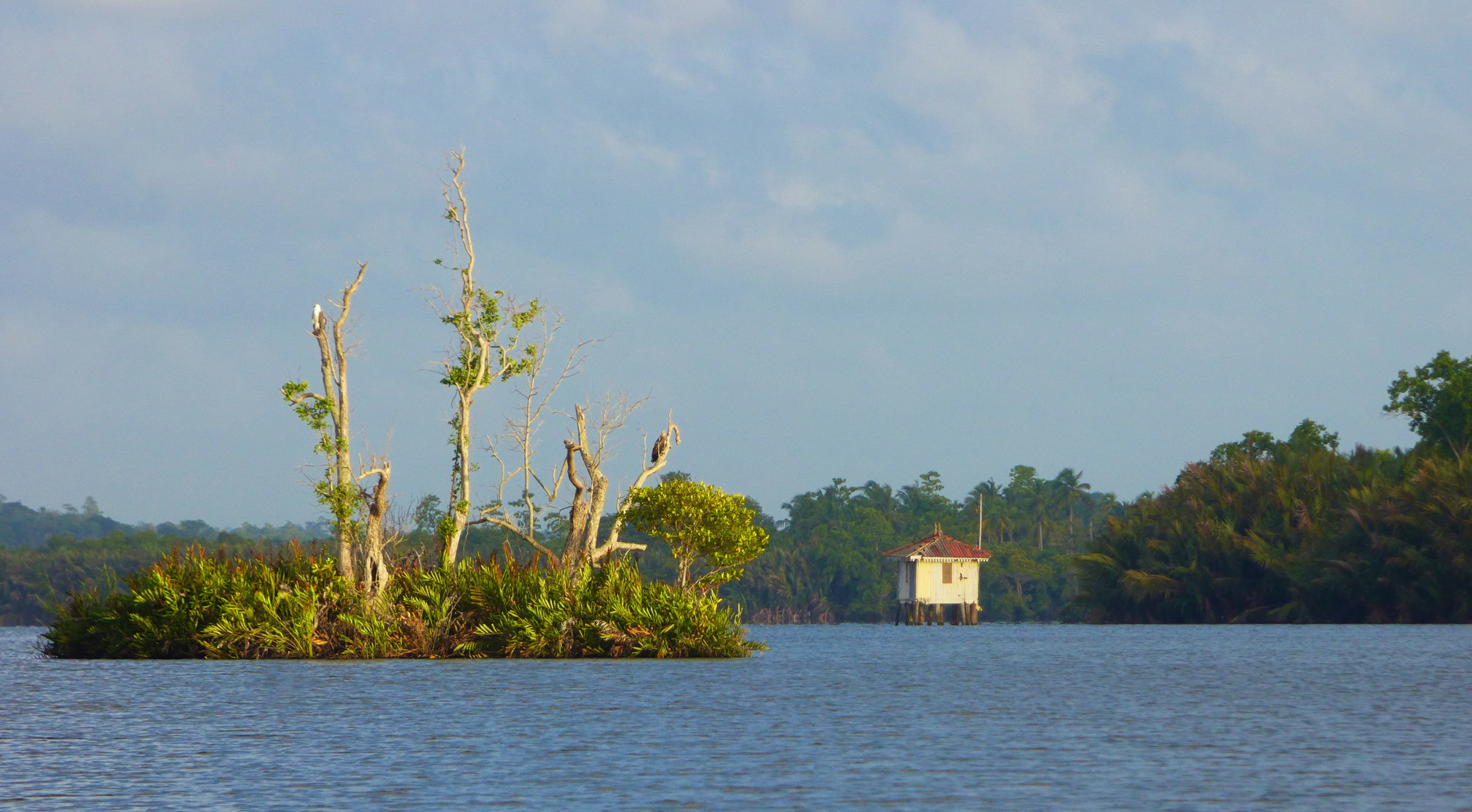 Madampe lagoon : Ambalangoda : Côte Sud : Sri Lanka : Routard.com