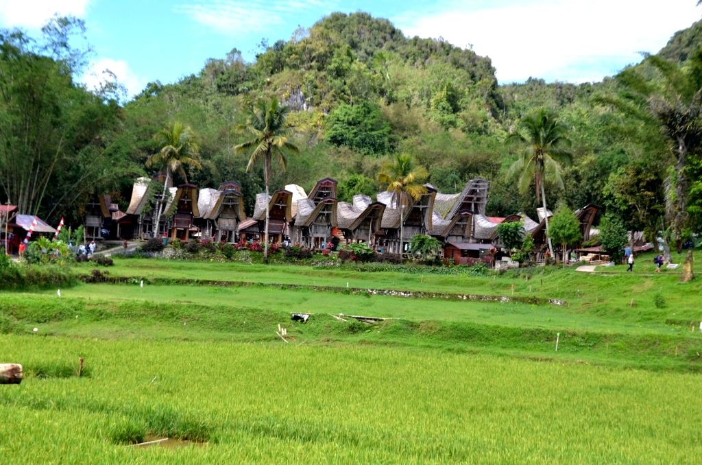 Village toraja de kete kesu et ses tongkonan : Village : Kete Kesu ...