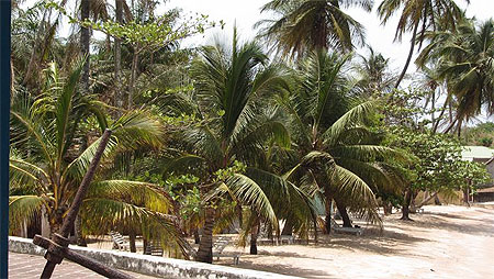 Presqu'île de Kaloum : Plages : Mer : Conakry : Guinée : Routard.com