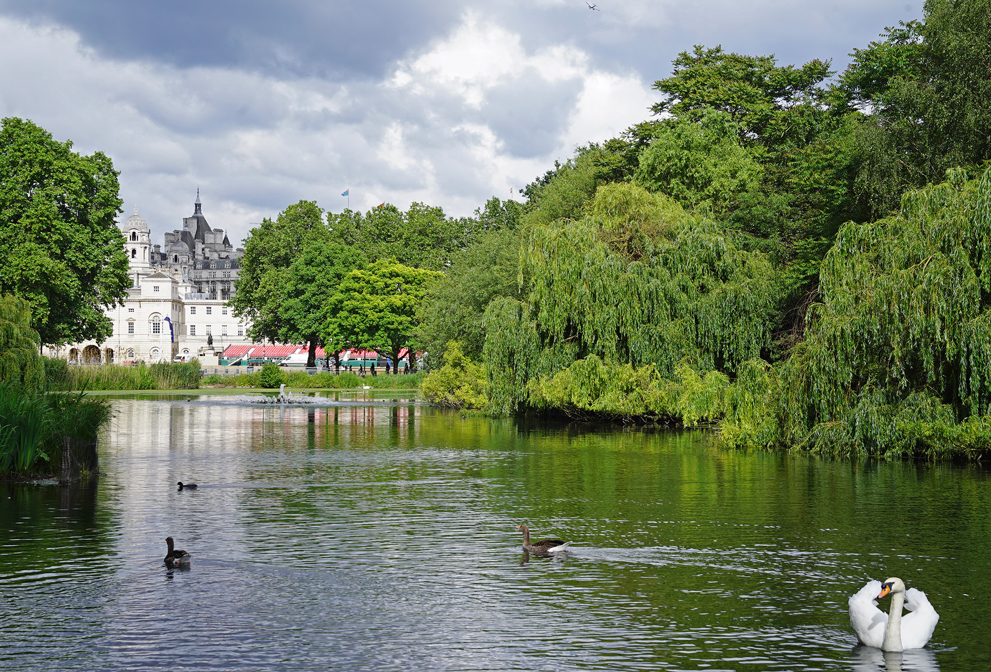 Londres verte : parcs, jardins et balades