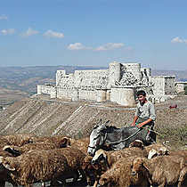 Euphrate : Ponts : Fleuve : Vallée de l'Euphrate : Syrie : Routard.com