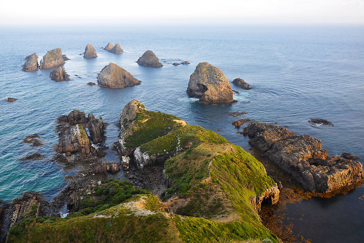 Visiter Nugget Point : préparez votre séjour et voyage Nugget Point ...