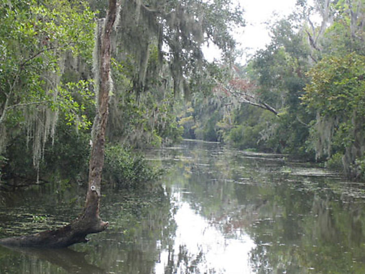 The deep Bayou au sud de la Nouvelle Orléans : Bayous de Louisiane ...