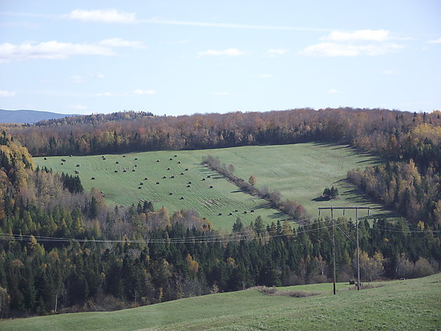 Vallée de la Matapédia : Gaspésie : Québec : Routard.com