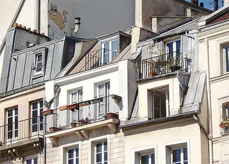 Le chat sur un toit de Paris : 1er arrondissement : Paris : Routard.com