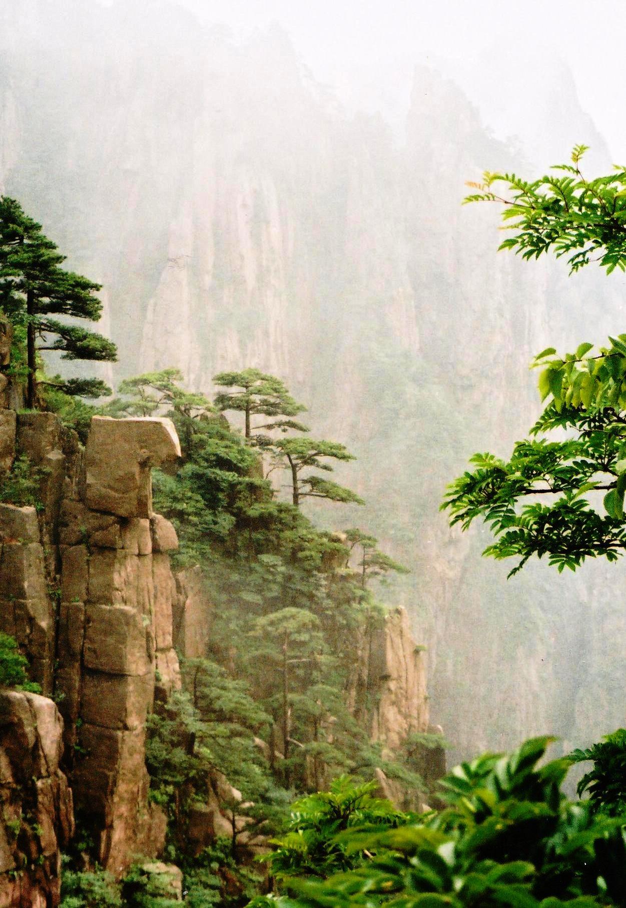 Dans la brume du mont Huang Shan : Huang Shan (la montagne jaune ...