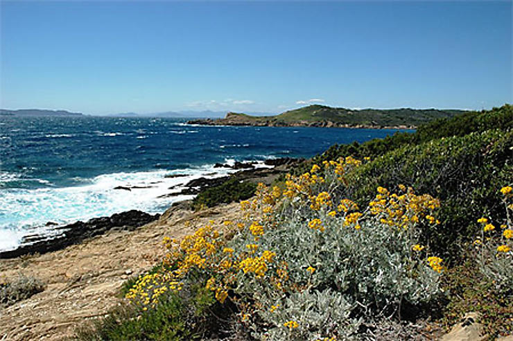 Visiter Île de Port-Cros : préparez votre séjour et voyage Île de Port ...