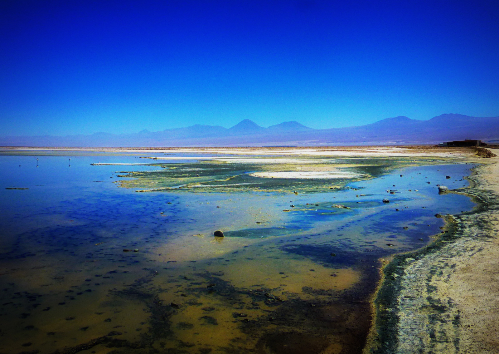 Le salar d'Atacama : Salar d'Atacama : Désert d'Atacama : Chili ...