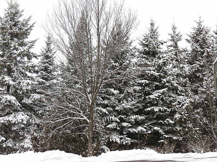 Visiter Saint-Sauveur : préparez votre séjour et voyage Saint-Sauveur ...