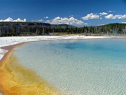 Yellowstone spring : Yellowstone National Park : Wyoming : Parcs ...