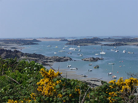 Ilien : Îles Chausey : Manche : Normandie : Routard.com