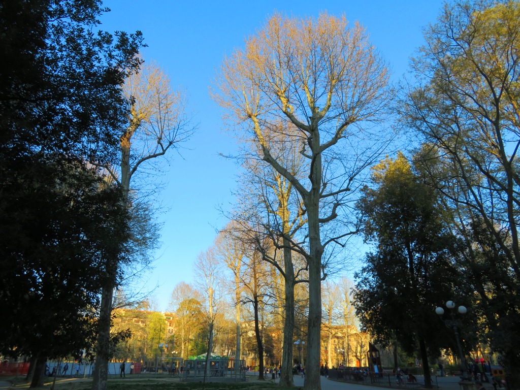 Piazza Massimo d'Azeguo, Florence : Arbres : Centre historique ...